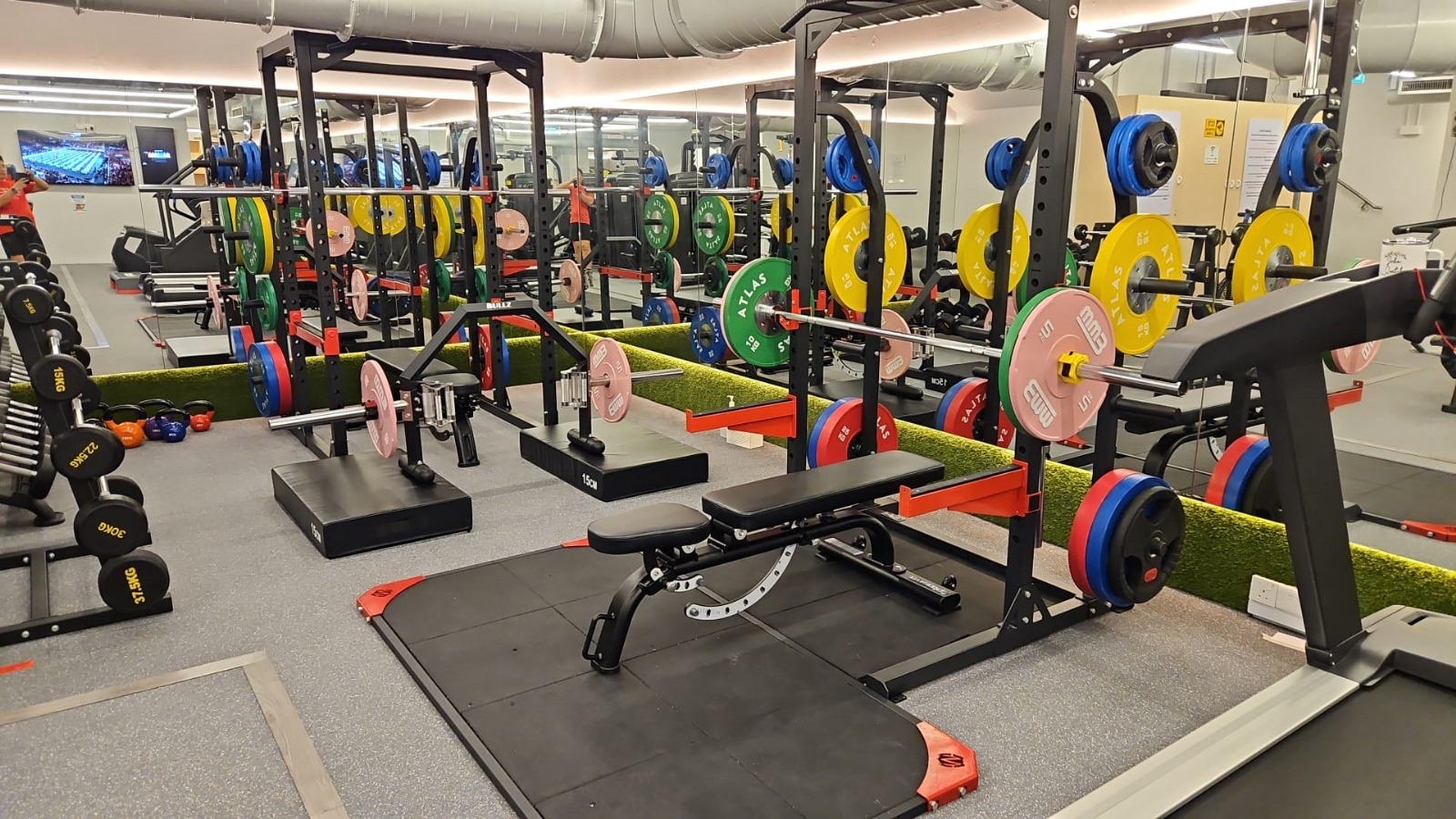 BGA Inclusive Fitness - Bridging Gap Advocacy | Find Your Strength